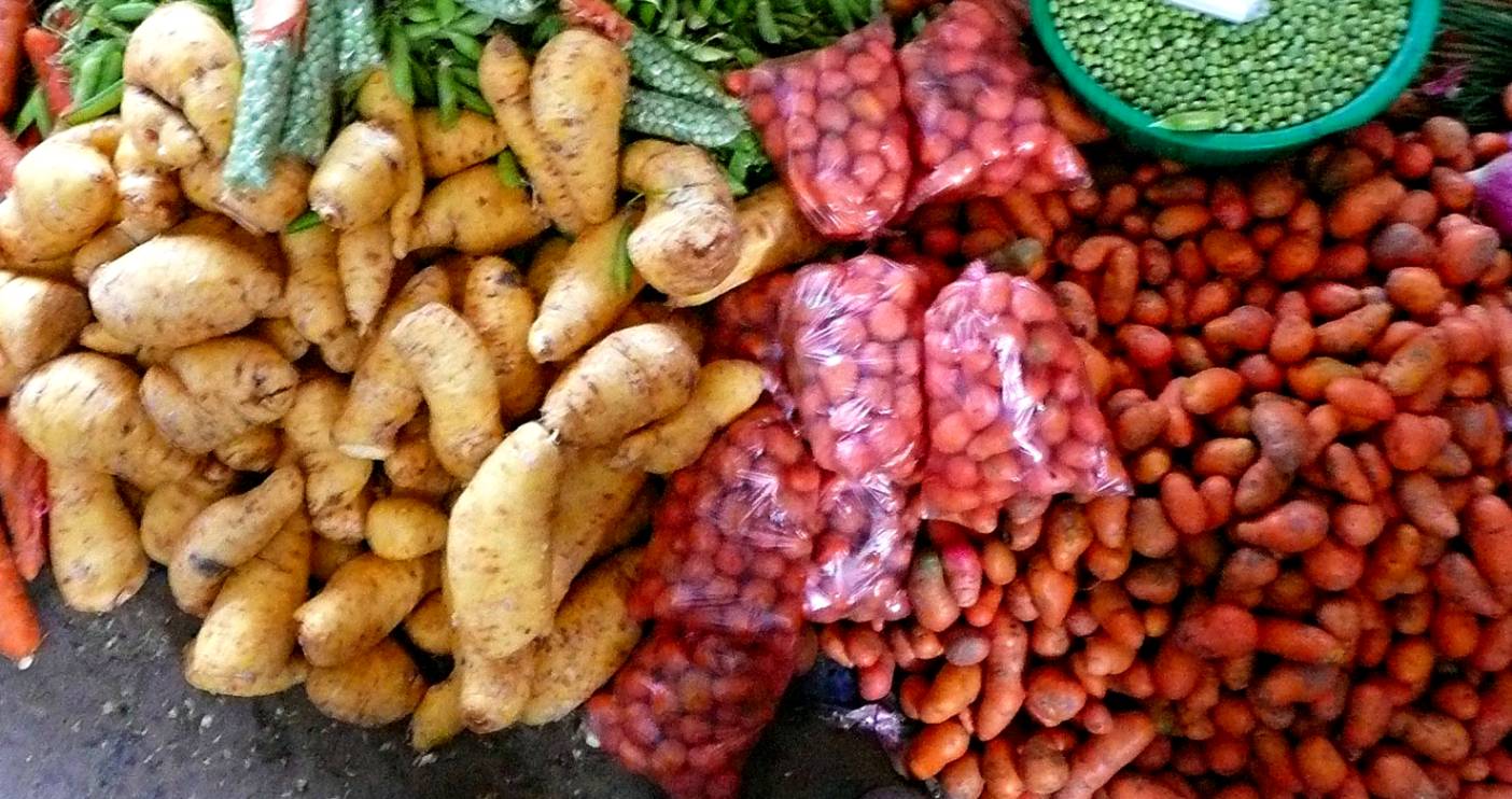 Andean Tuber Crops » Sacred Succulents